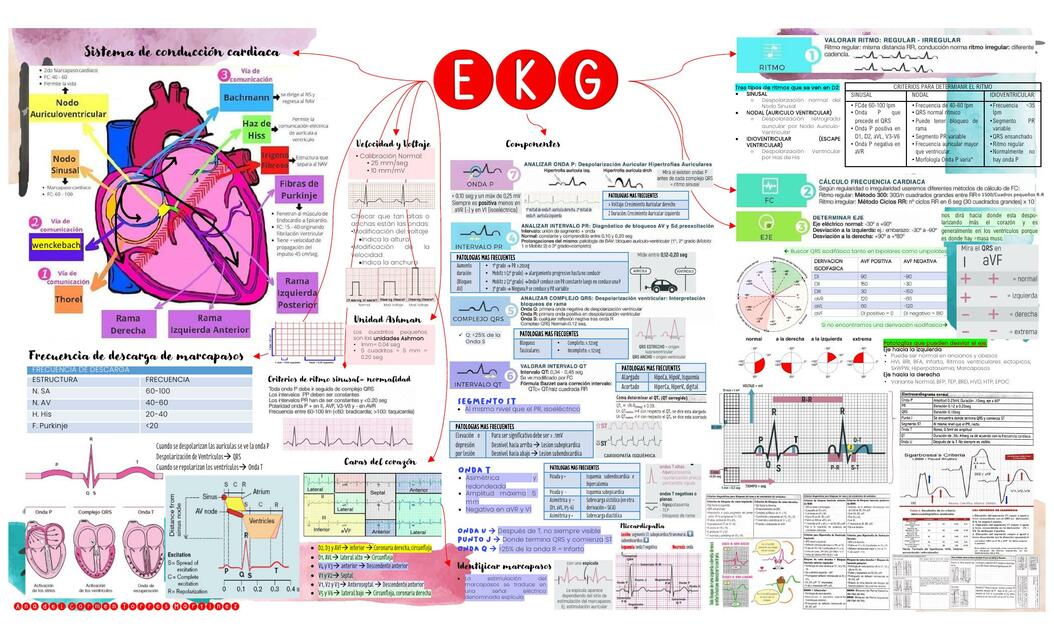 EKG | MEDIKA NOTES | uDocz