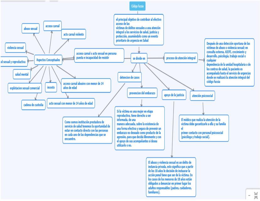 Mapa Conceptual De Código Fucsia Isabel Udocz