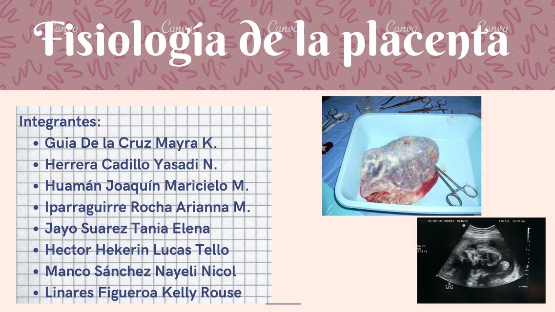 Fisiología de la Placenta | ROUSE LINARES | uDocz