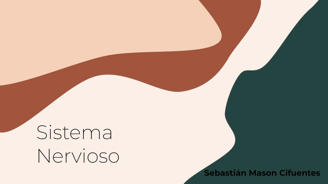 Sistema Nervioso | Sebastian Mason | uDocz