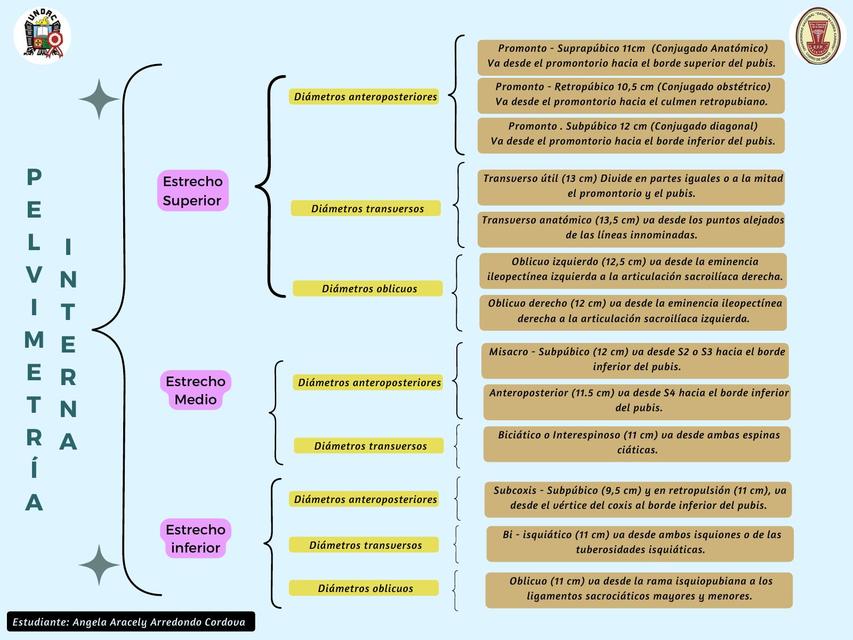 Pelvimetría Interna de la pelvis (Diámetros de la pelvis) | Angela ...