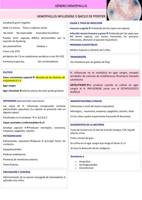 Resúmenes de Test de Pfeiffer | Descarga apuntes de Test de Pfeiffer