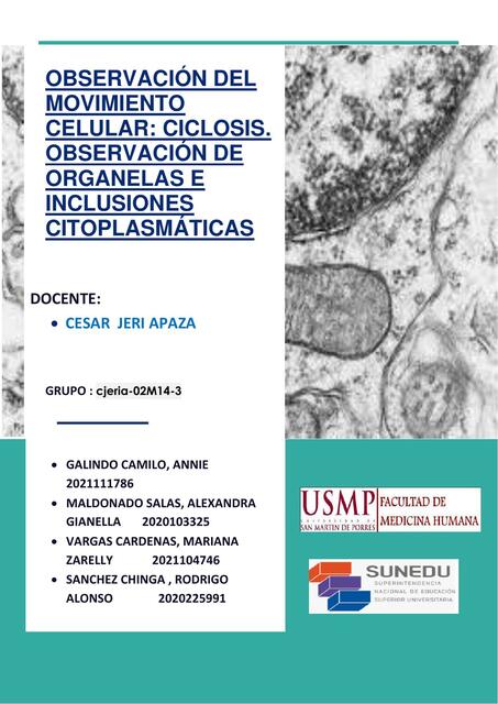 Observación del Movimiento Celular: Ciclosis | Mariana Zarelly Vargas ...