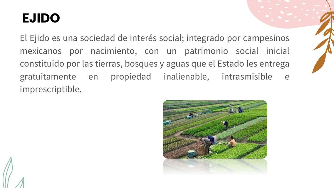 Resúmenes de Ejido | Descarga apuntes de Ejido