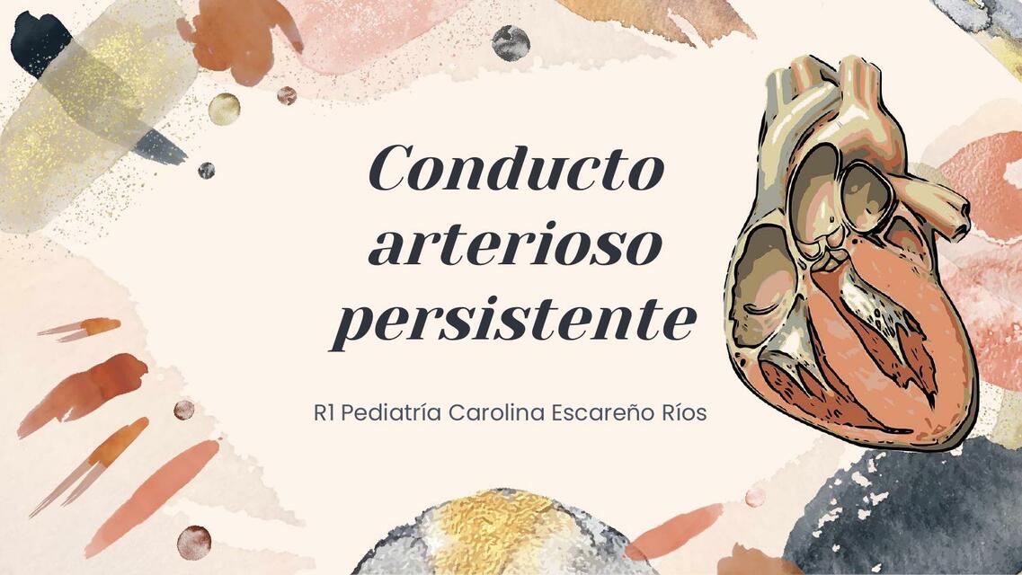 Persistente Definicion