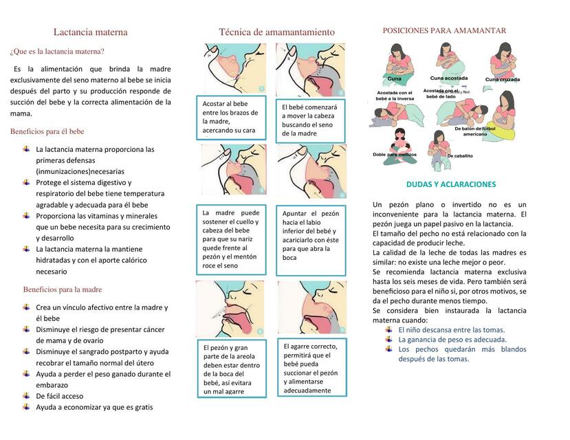Lactancia Triplico | Ramos janco Jose armando | uDocz