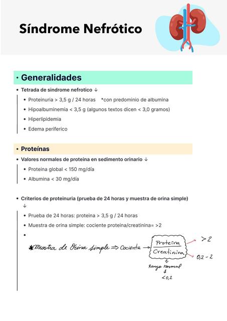 Síndrome Nefrótico | Johan Muñoz | uDocz