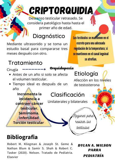 Criptorquidia Dylan Antonio Wilson Parra Udocz 7573