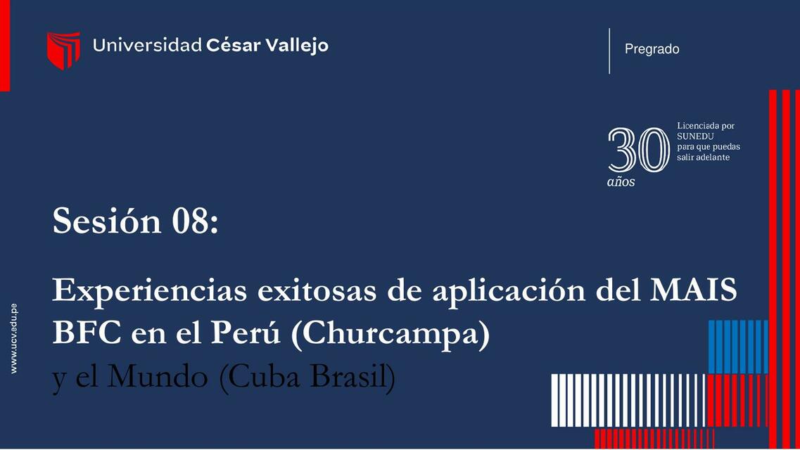 Experiencias exitosas de aplicación del MAIS BFC en el Perú (Churcampa) | GREYS LORENA CUBAS ...