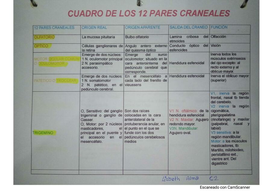 Cuadro de los 12 Pares Craneales | medicina | uDocz