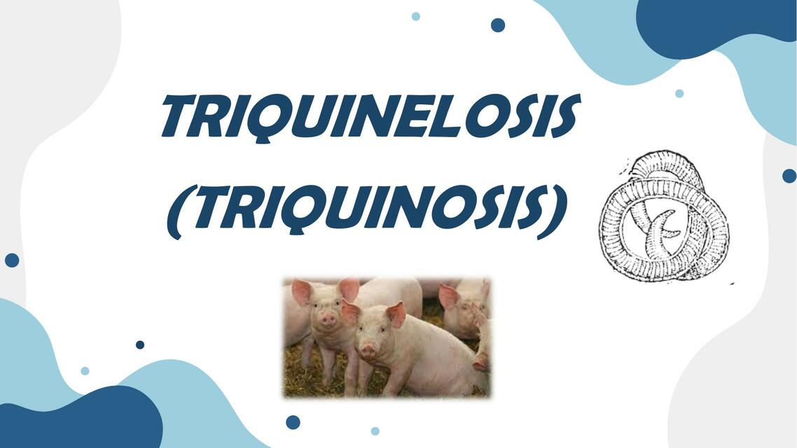 Triquinelosis | Dra. L.L. | uDocz