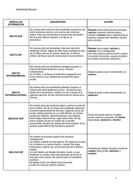 Tabla de Músculos Extrínsecos | Rosario Arredondo | uDocz