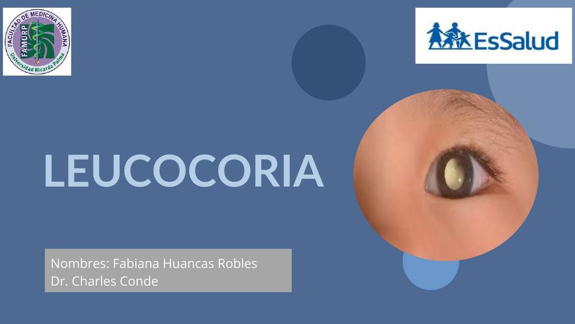 Leucocoria | Fabiana Huancas Robles | uDocz