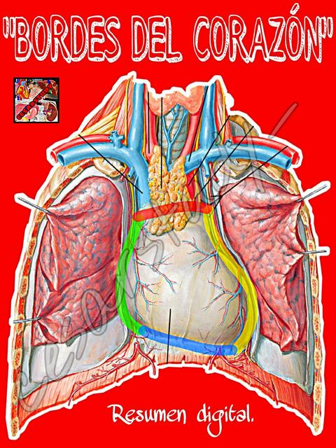 Bordes del corazón | Cesarstudy_ | uDocz