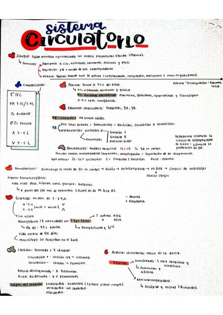 Apunte: Sistema Circulatorio | Zahira Valdez | uDocz
