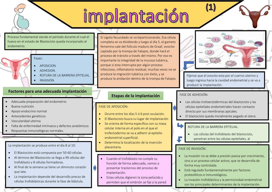 Implantación (1) | J/Diego P/Vásquez | uDocz