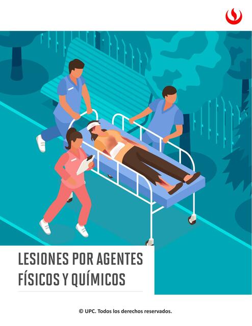 Lesiones por Agentes Físicos | Raquel Chavez | uDocz