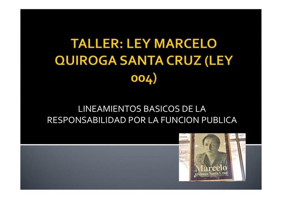 Lineamientos Básicos de la Responsabilidad por la Función Pública ...