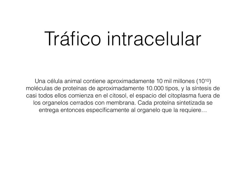 Tráfico Intracelular | Biología General | uDocz