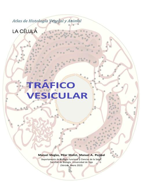 Tráfico Vesicular