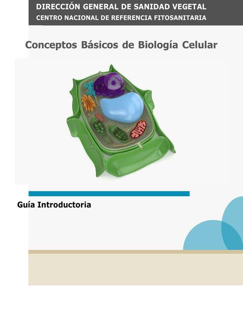 Conceptos Básicos de Biología Celular | Biología General | uDocz