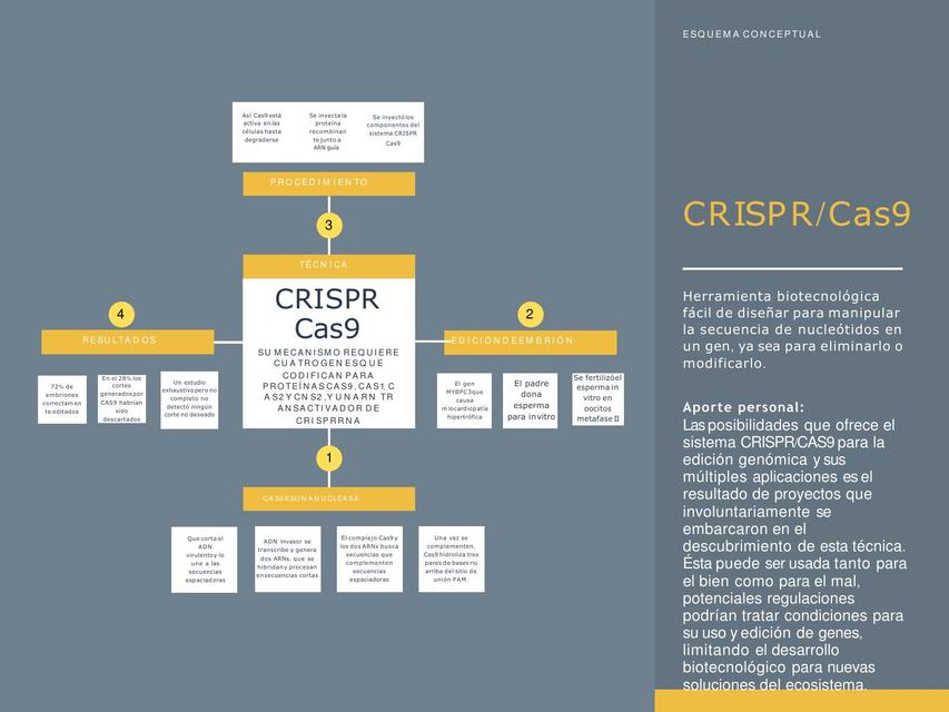 Resúmenes de Sistema crispr/cas9 | Descarga apuntes de Sistema crispr/cas9