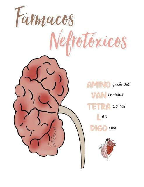 Fármacos nefrotóxicos | Studiescah | uDocz