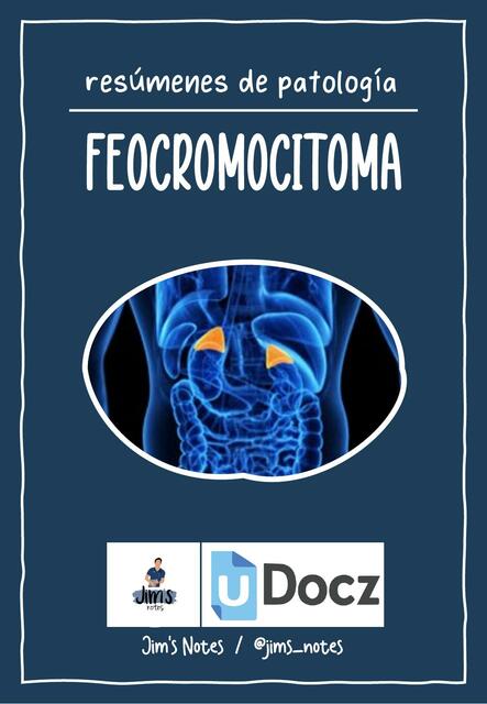 Resúmenes de Feocromocitoma | Descarga apuntes de Feocromocitoma