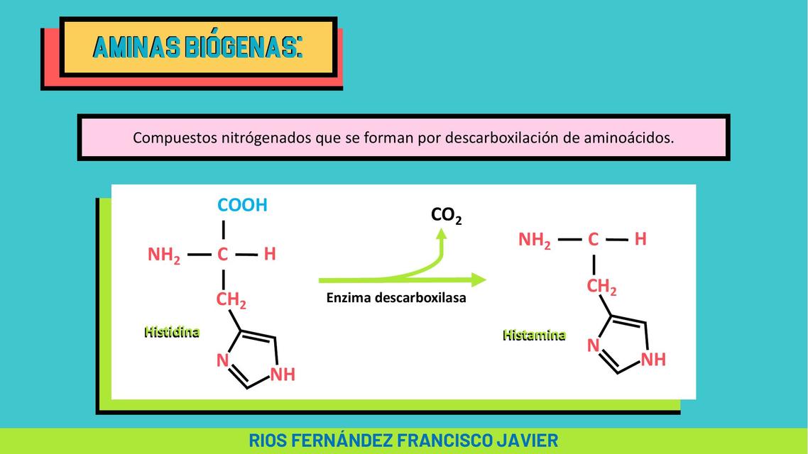 Aminas Biógenas Javier Rios Udocz