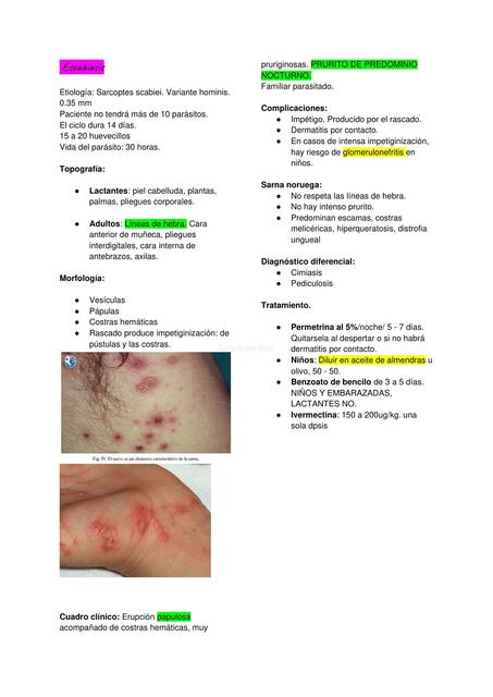 Dermatosis Parasitarias | Cecilia Morales | uDocz