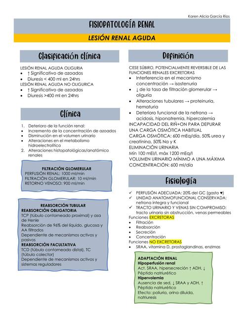 Fisiopatología Renal- Insuficiencia Renal Aguda | KAREN ALICIA GARCIA RIOS | uDocz