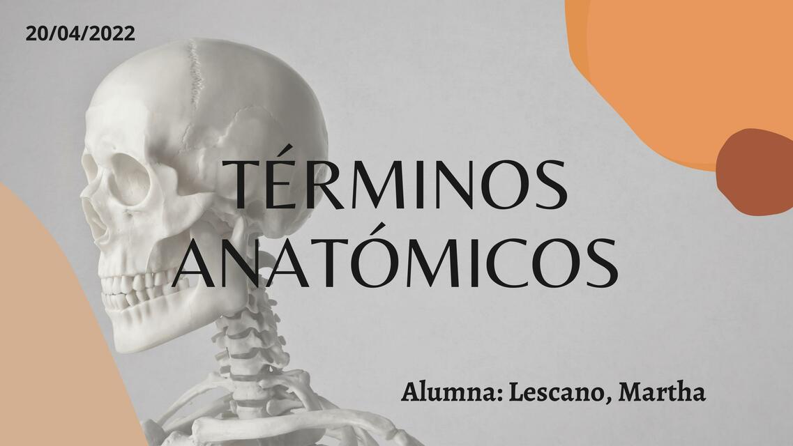 Términos Anatómicos | Sof | uDocz