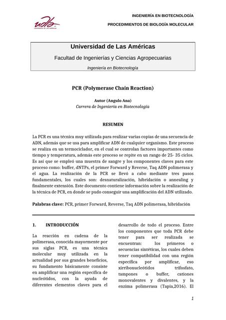 Informe PCR (Polymerase Chain Reaction) | Ana Angulo | uDocz