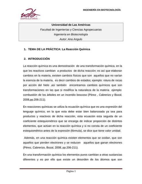 La Reacción Química Informe De Laboratorio Ana Angulo Udocz