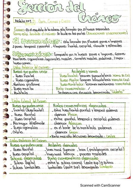 Apuntes de Anatomía | Hagia Valdes | uDocz