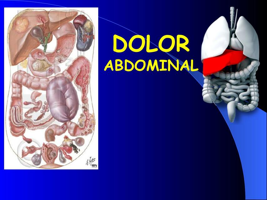 Resúmenes de Estímulo doloroso | Descarga apuntes de Estímulo doloroso