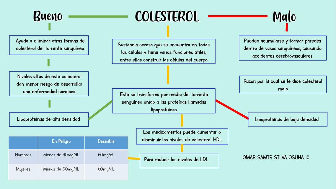 Colesterol Bueno y Malo | Cheerful Med | uDocz