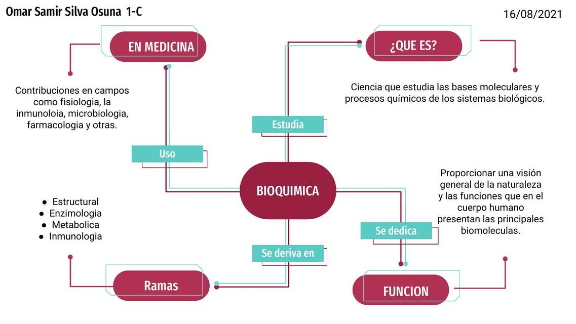 ¿Qué es la Bioquímica? | Cheerful Med | uDocz