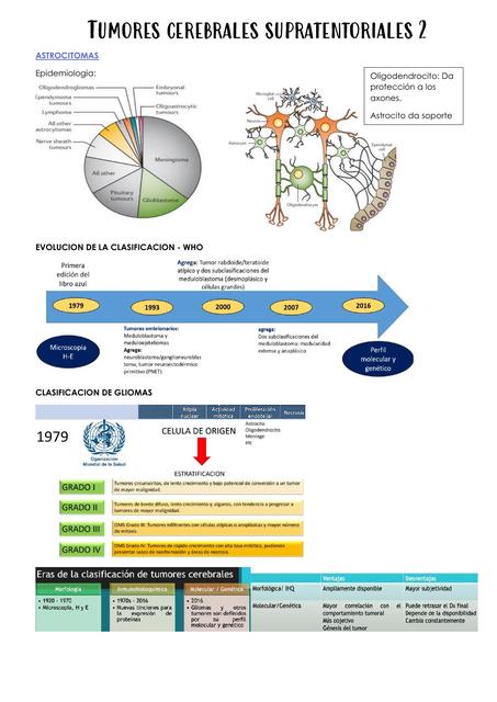 Tumores Cerebrales Supratentoriales y Patología Hipofisiaria | Katy Flores | uDocz