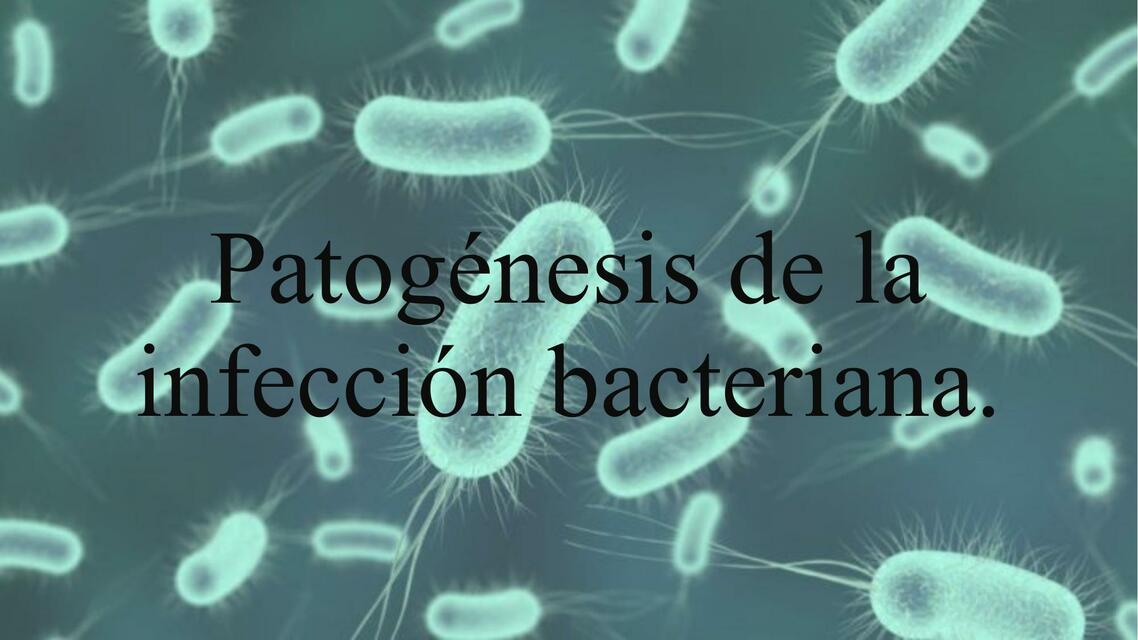 Patogénesis de la Infección Bacteriana | ESPM MEDICINA | uDocz
