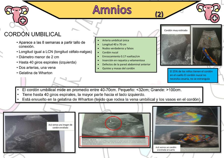 Amnios (2) | J/Diego P/Vásquez | uDocz