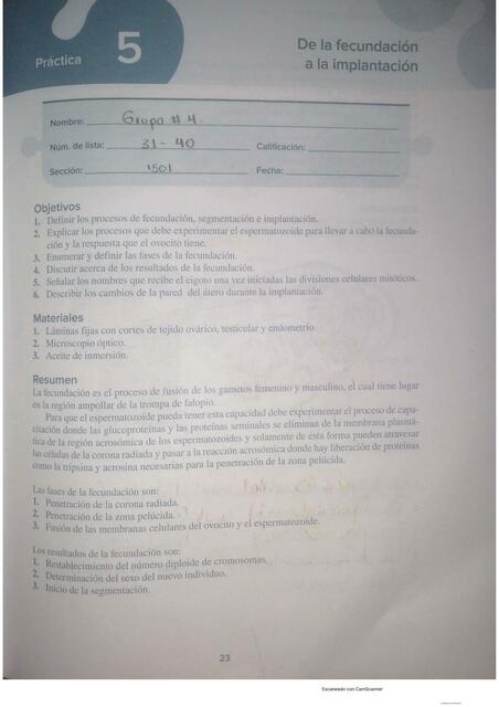 De La Fecundación A La Implantación Aryani Maldonado López Udocz