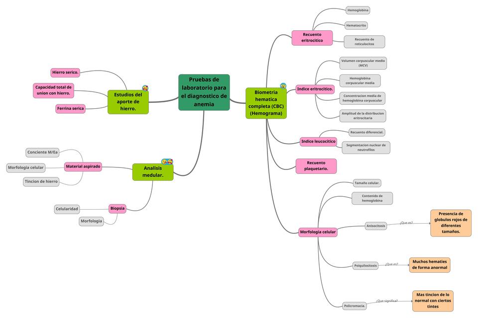 Pruebas de laboratorio para el diagnóstico de anemia | Krystal Vasquez ...