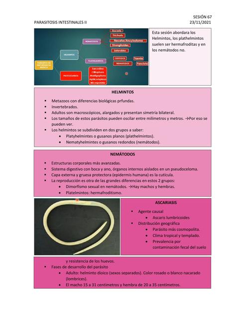 Parasitosis Intestinales | Emmanuel Suárez | uDocz