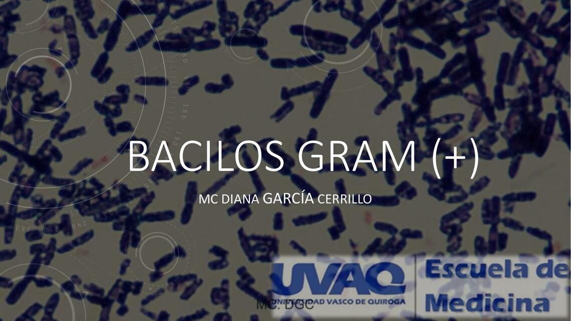 Resúmenes de Bacilos gram (+) | Descarga apuntes de Bacilos gram (+)