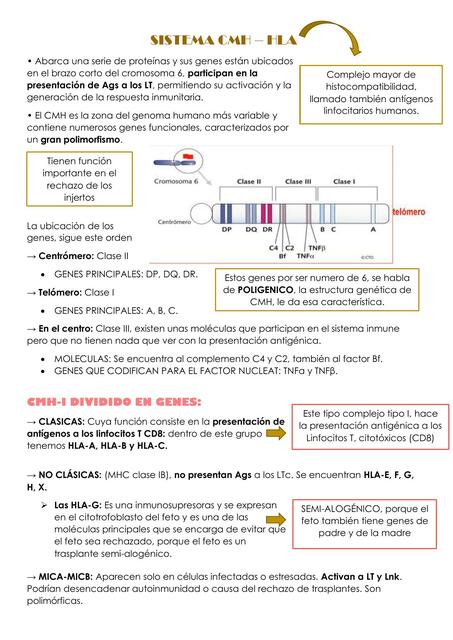 Sistema CMH HLA | Jheimy Cinthia | uDocz