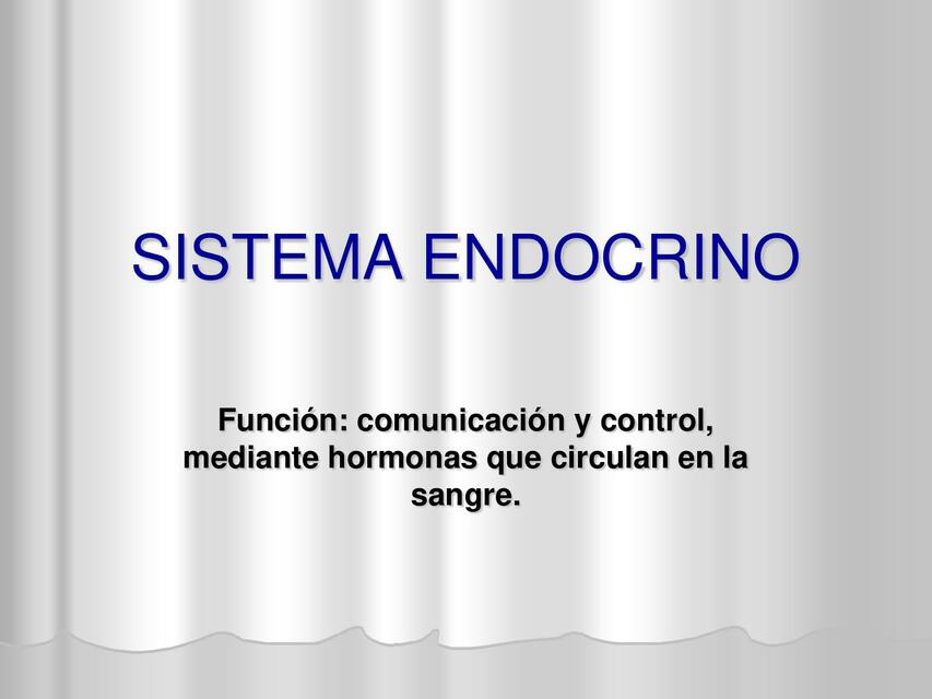 sistema endocrino | uDocz