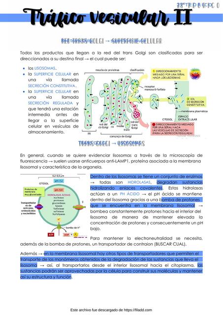 Tráfico Vesicular | GMVALE | uDocz