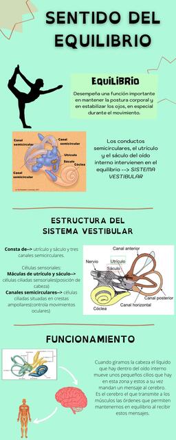 Sentido del Equilibrio | Liana Maribel Patiño Cartuche | uDocz