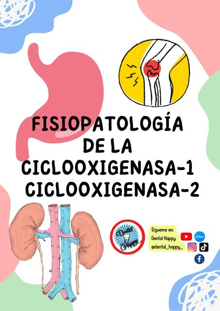 Fisiología de la Ciclooxigenasa | Alan Díaz | uDocz